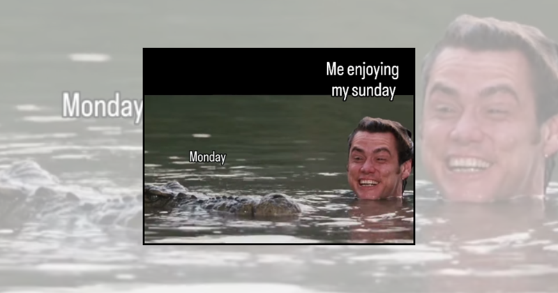 Sunday Funday by day, Sunday scaries by night: Memes for one last ...