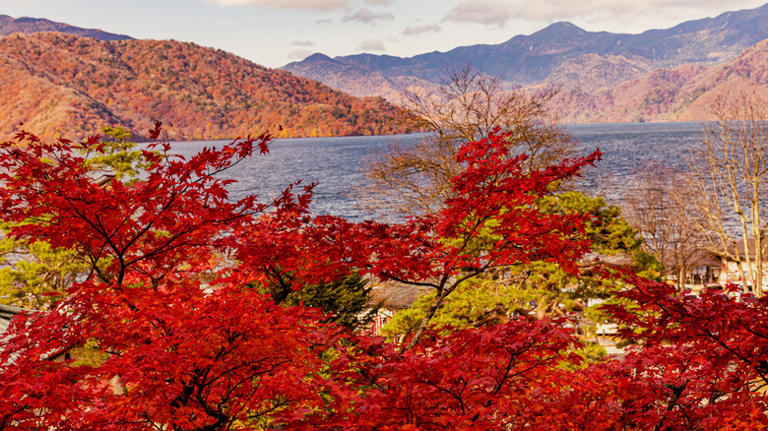 Japan's highest elevation lake is a national park beauty with trails, a ...