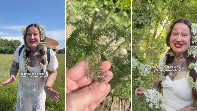 Hairy stems, carrot scent, and purple blotches reveal which white ...