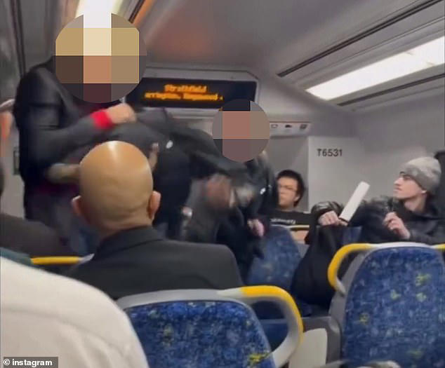 Wild train brawl breaks out between teens and passenger after simple ...