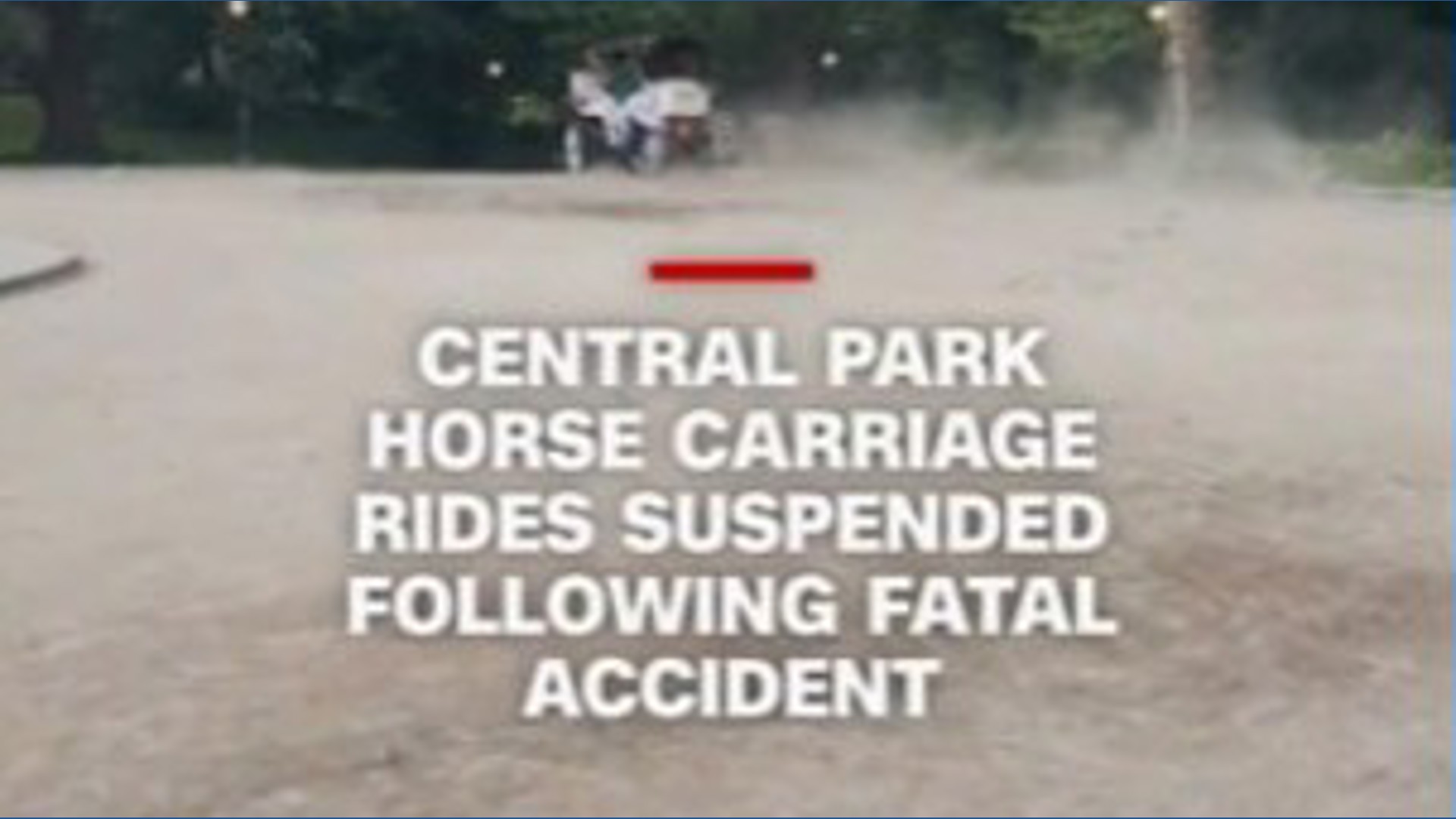 Central Park horse carriage rides suspended