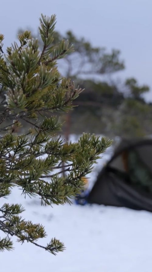 From freezing conditions to a cozy camp