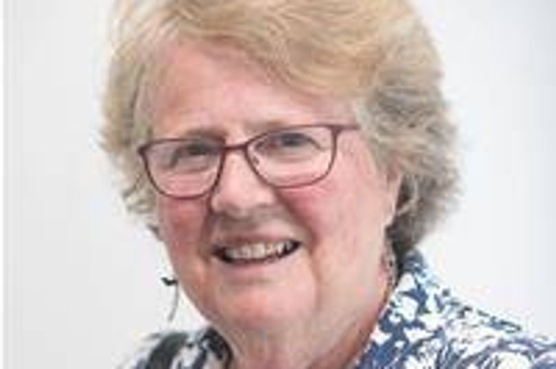 Somerset councillor granted six-month leave of absence due to ill health