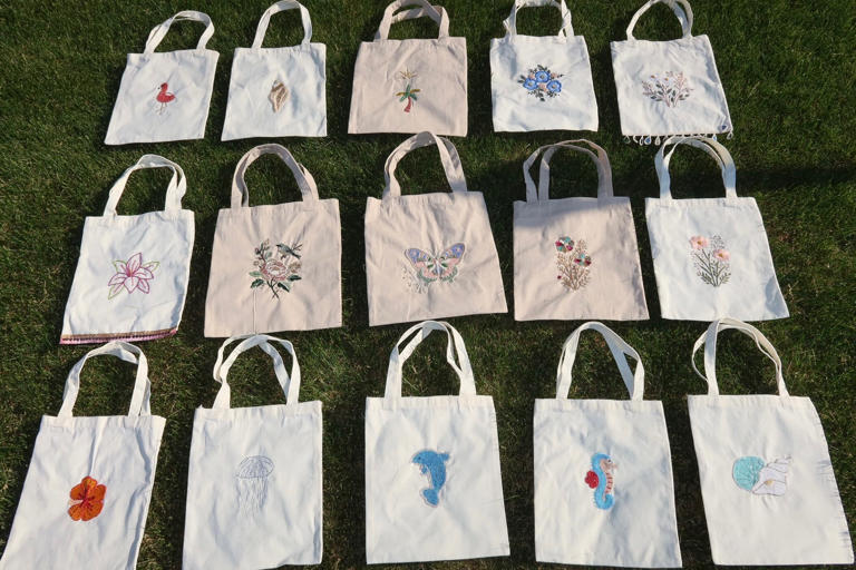 Waunakee student turns embroidery hobby into global sustainability ...
