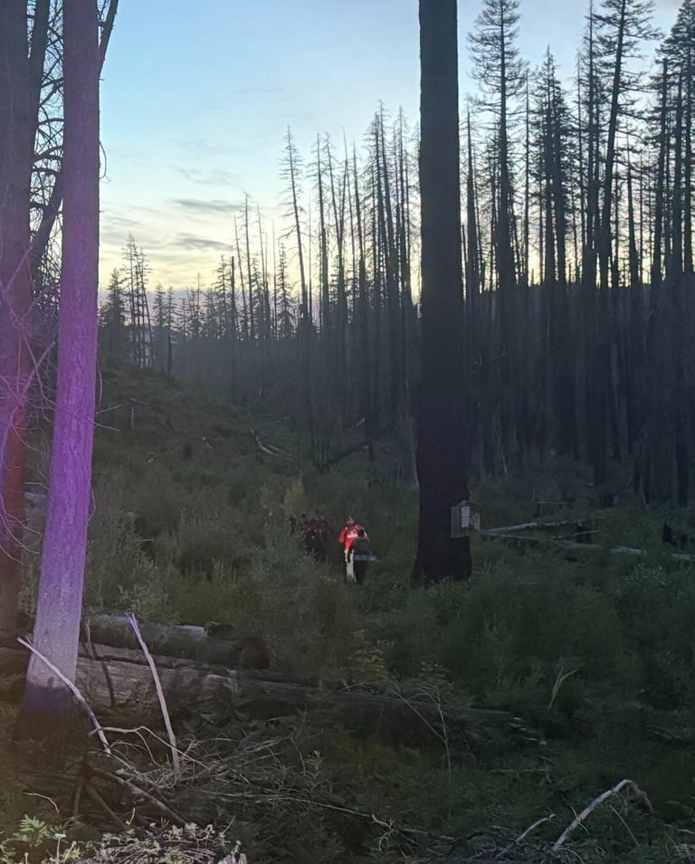 85-year-old hiker rescued after fall near Breitenbush Hot Springs