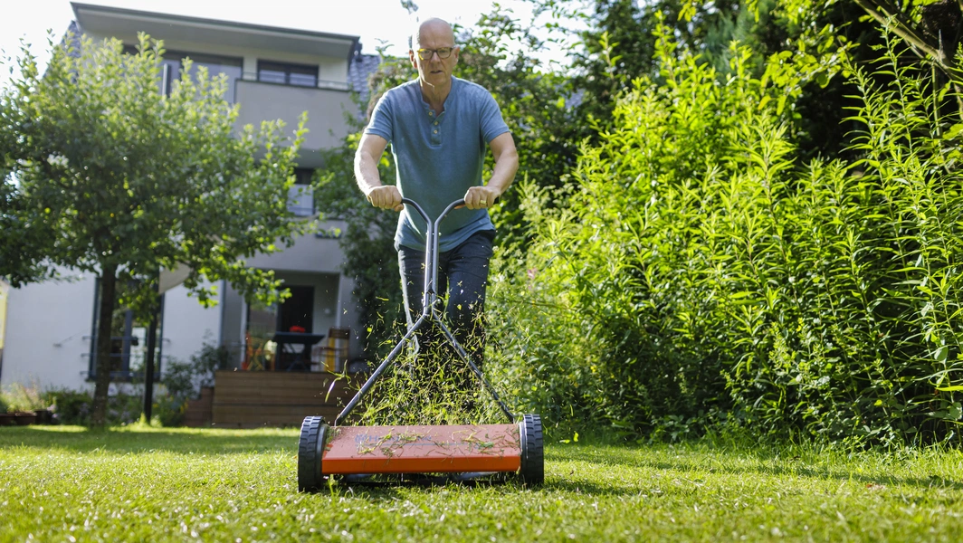 Practical strategies for effective lawn weed control