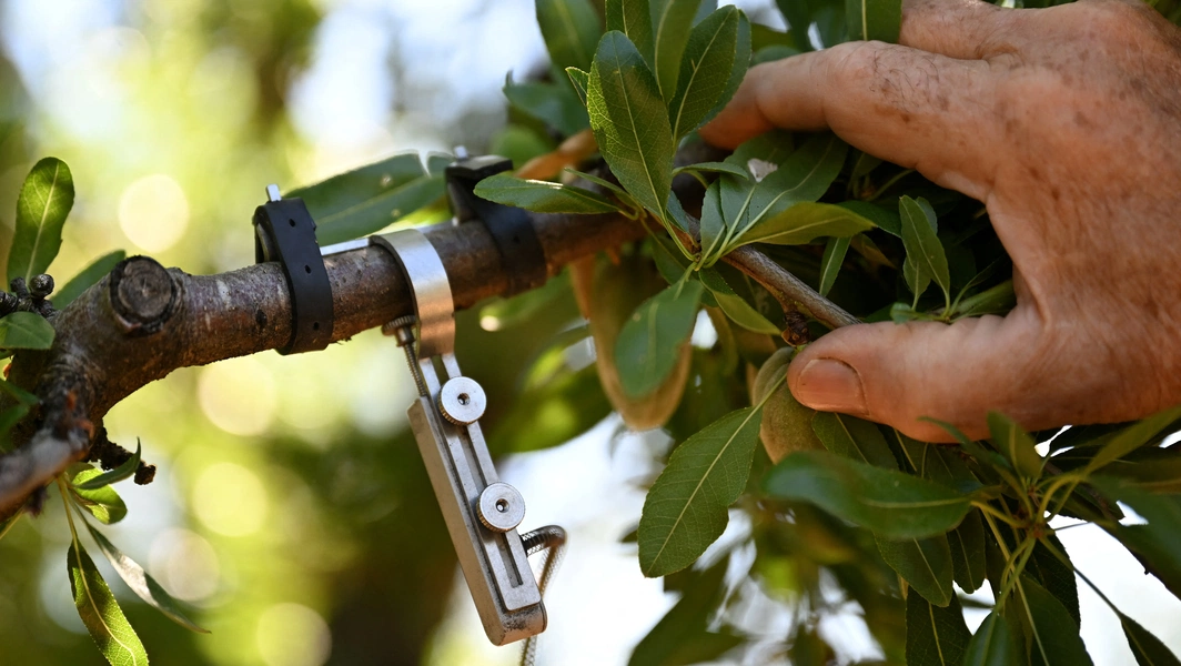 Measuring plant water stress for smarter irrigation