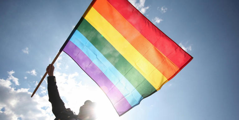 Every LGBTQ+ flag you might see this Pride and what they all mean