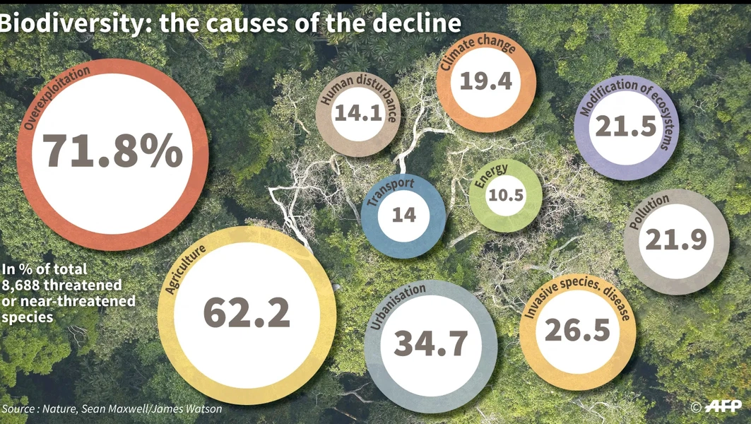 Wealth, consumption, and environmental inequality