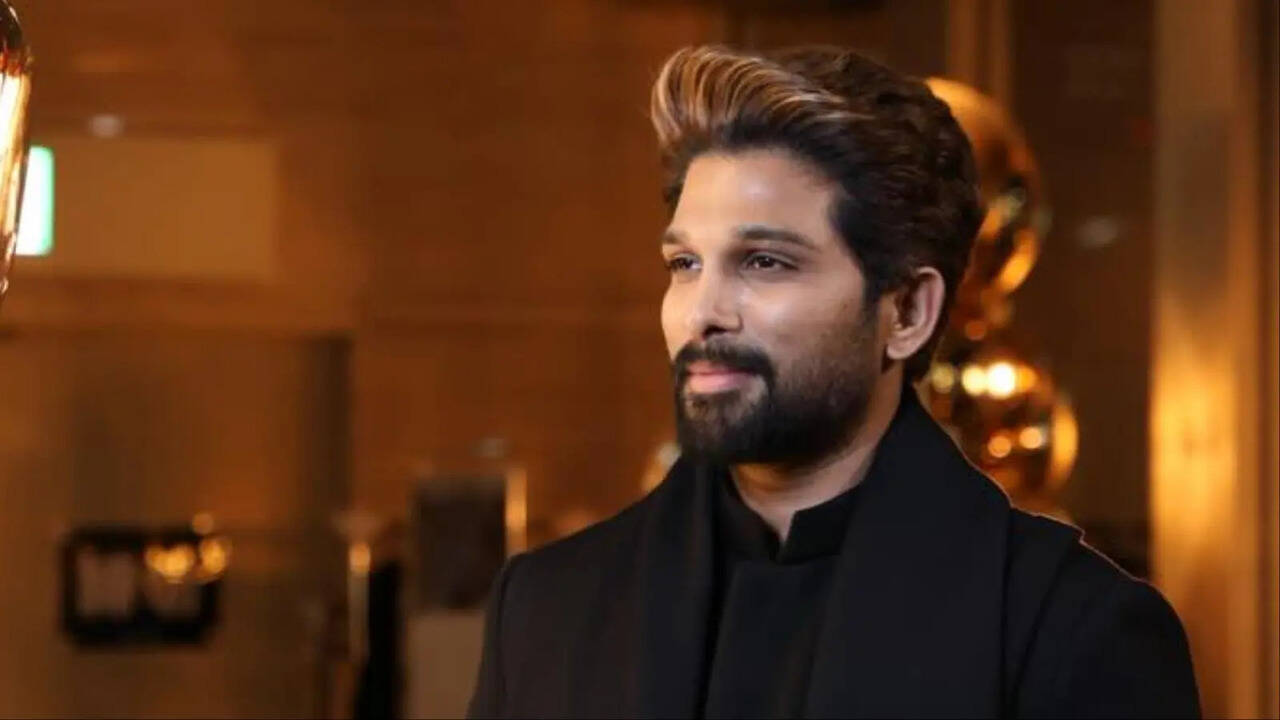 Pushpa 2 actor Allu Arjun's Sandhya Theatre stampede case hearing ...