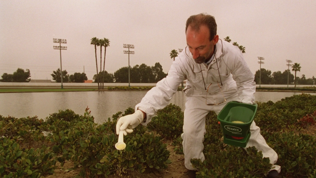 10 effective solutions for ant control