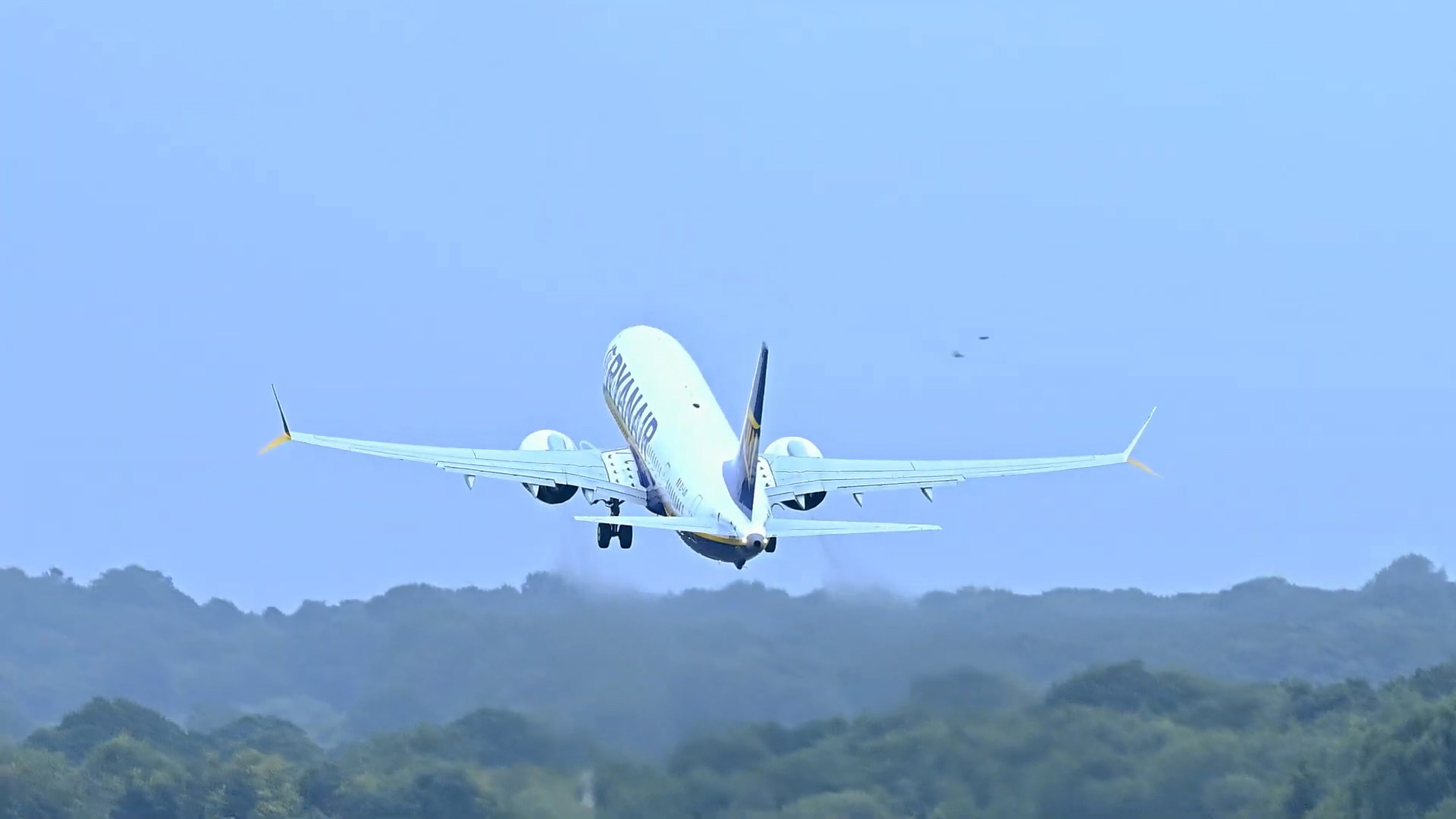 Airplane bird strike caught on camera