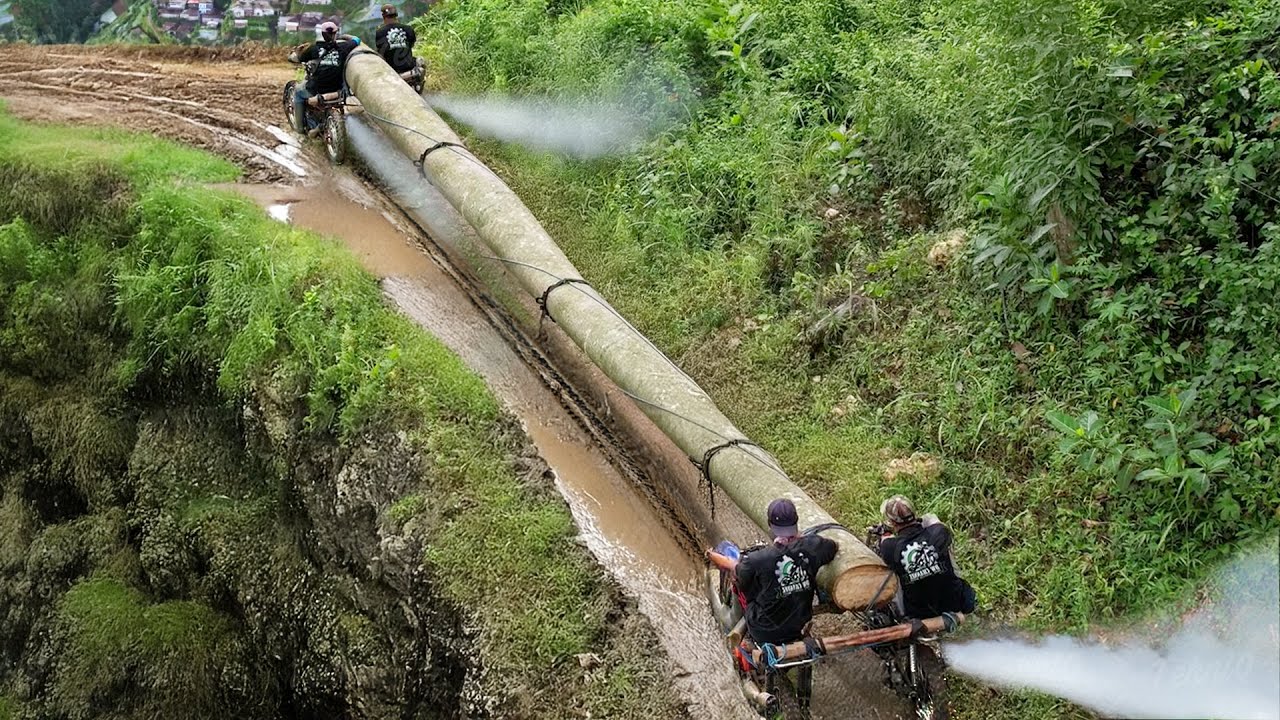 Genius way they transport massive tree with cheapest log transport vehicle