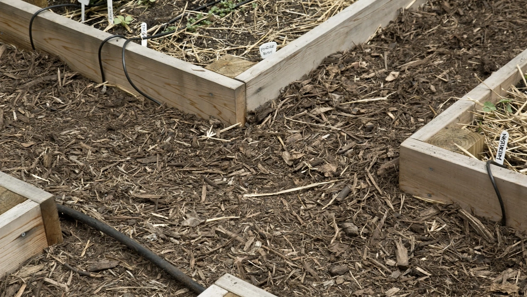 Mulch techniques for effective weed control
