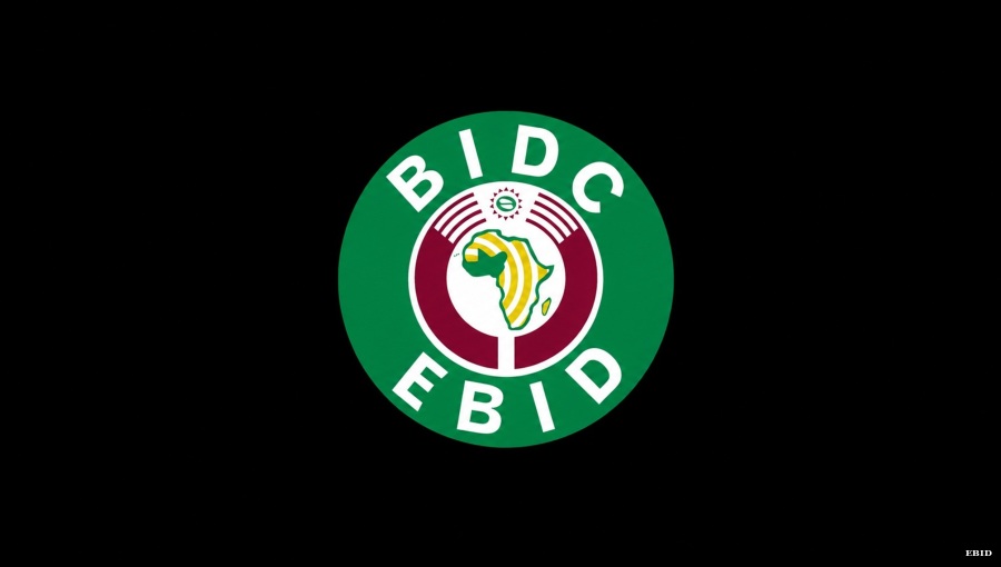 AfDB becomes first external shareholder in West Africa's Bank for ...
