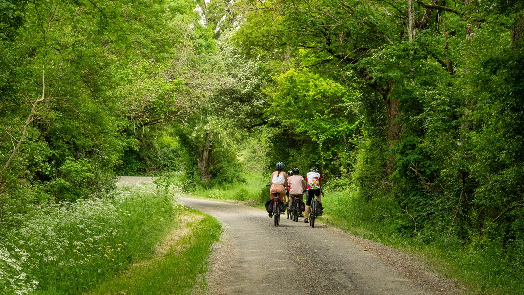 Proven strategies to build cycling endurance