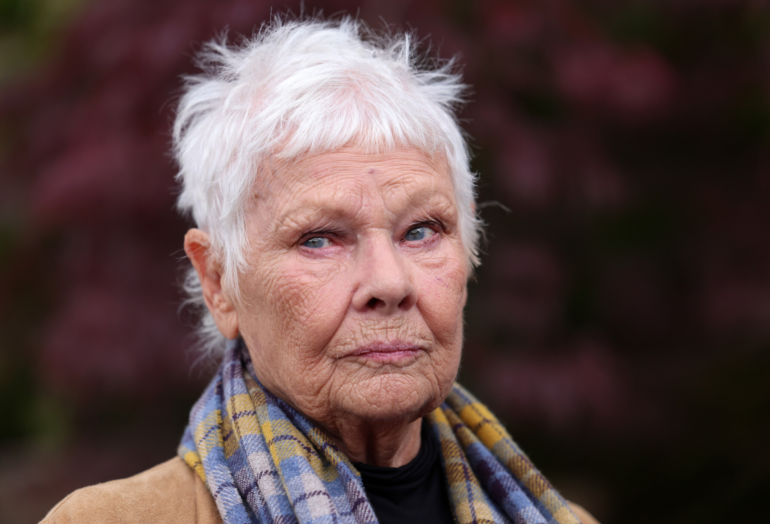 Judi Dench, 91, saa merkittävän kunnianosoituksen: "Valtava kunnia"