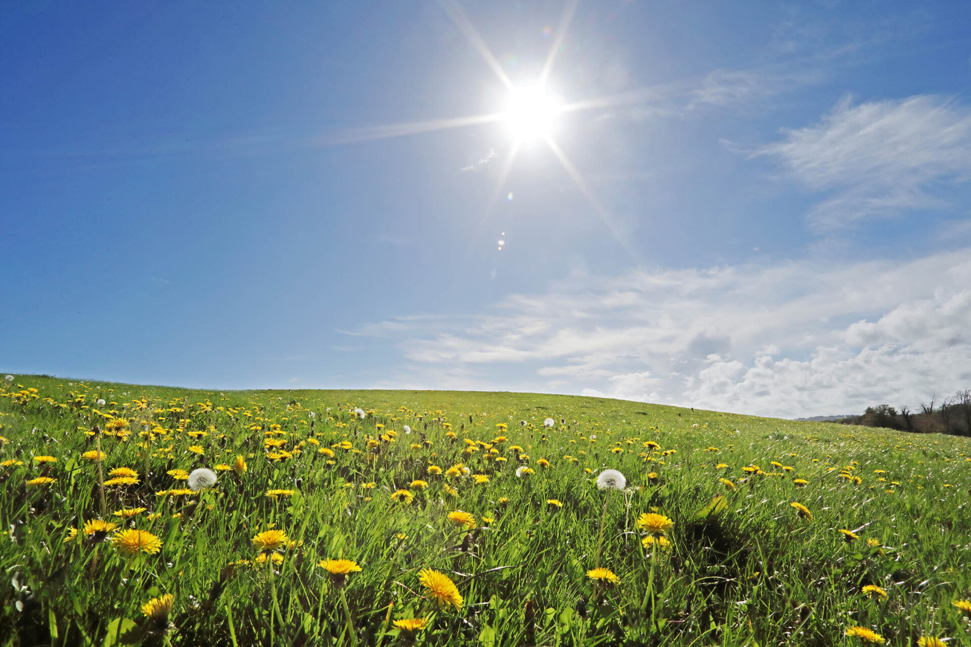 Summer solstice in the Northern Hemisphere: secrets and celebrations