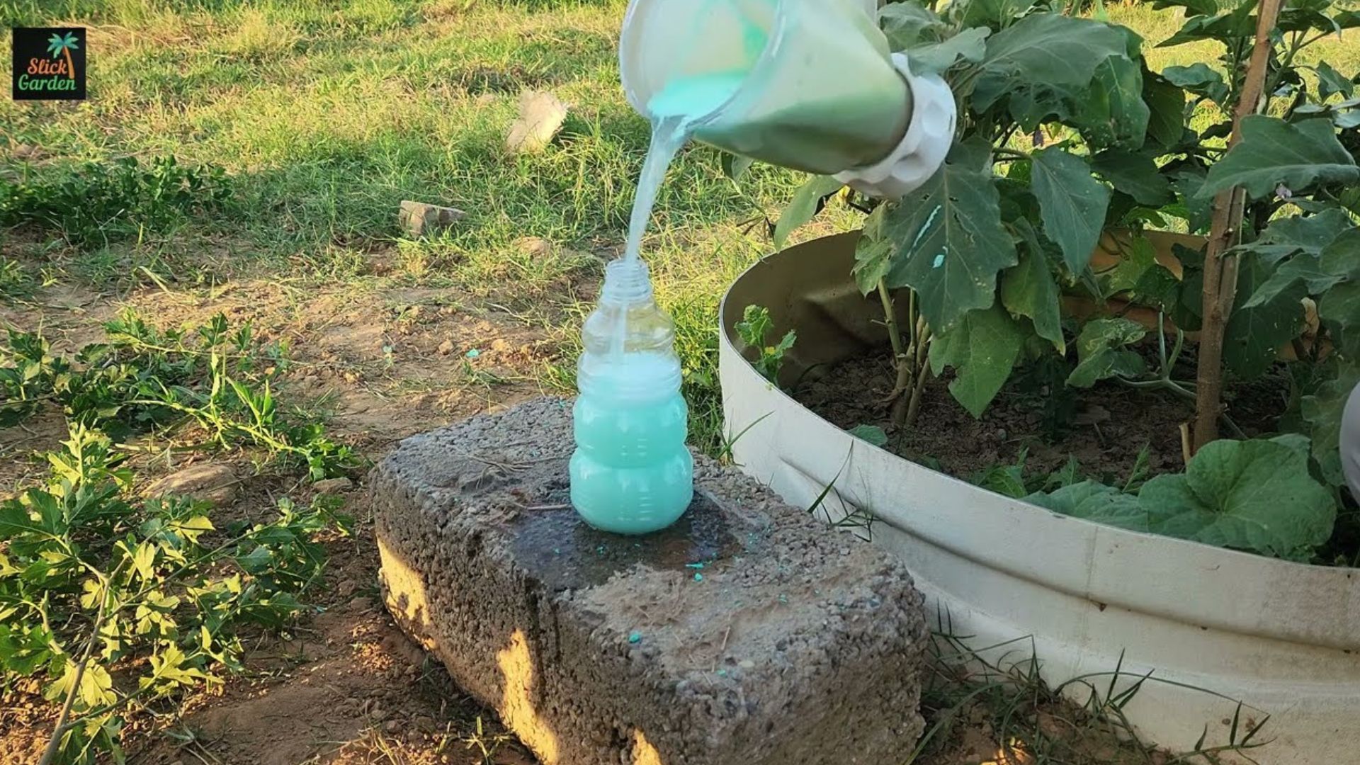 DIY natural pesticide: How to make soap & vinegar garden spray