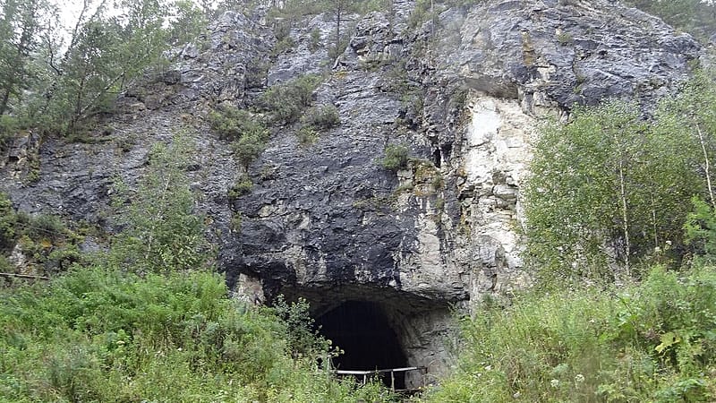 42.000 Jahre altes Erbe: Forscher finden Spuren ausgestorbener Menschen
