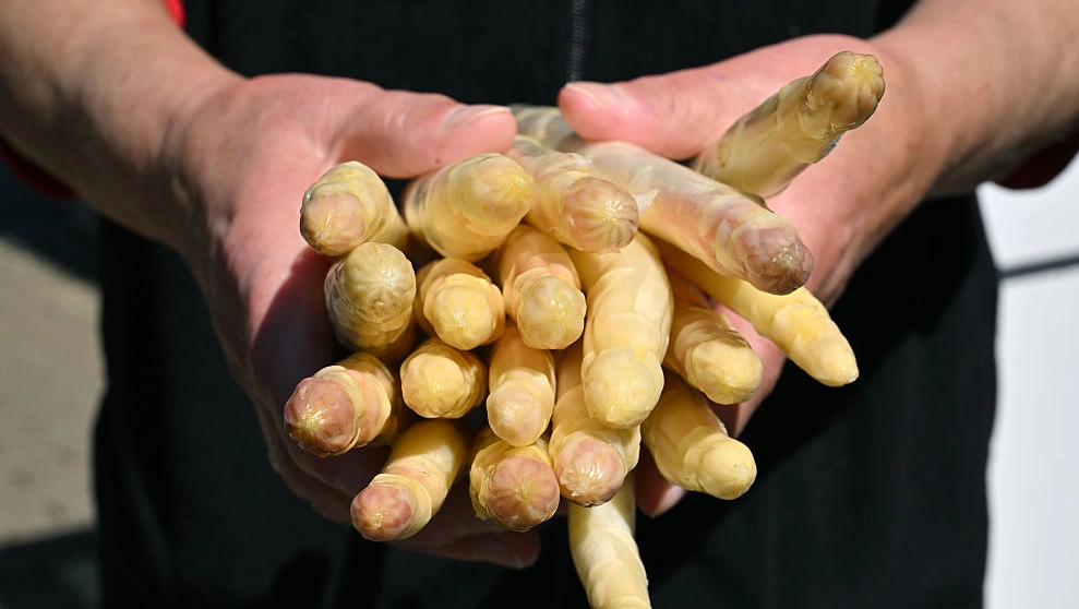 Expert tips for perfect asparagus