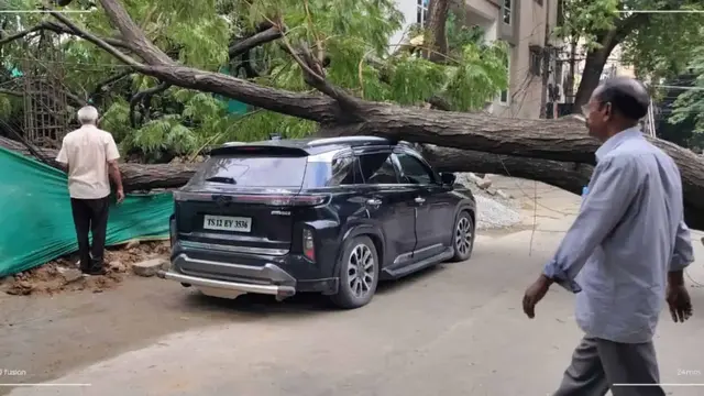 Hyderabad: Mishap averted after big tree falls on SUV in Kukatpally