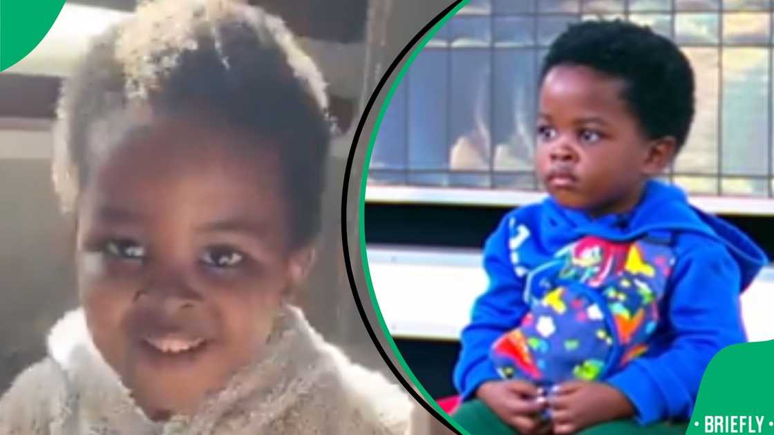 Meet Andile the calculator: 4-year-old genius wows Mzansi with ...