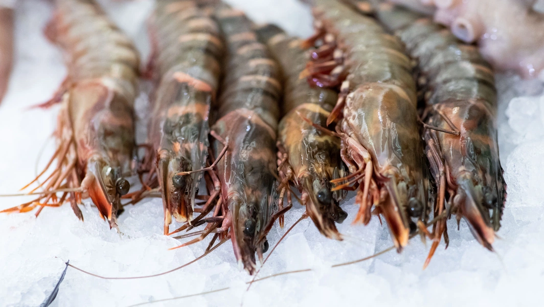 How to choose fresh, sustainable shrimp