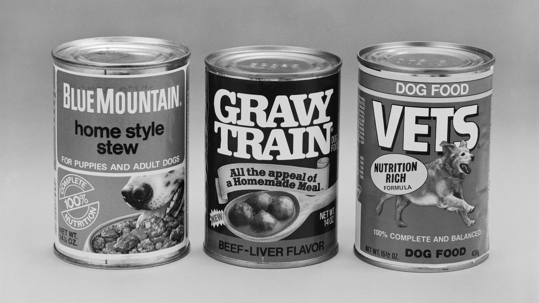 Microplastics and chemical contaminants in pet food