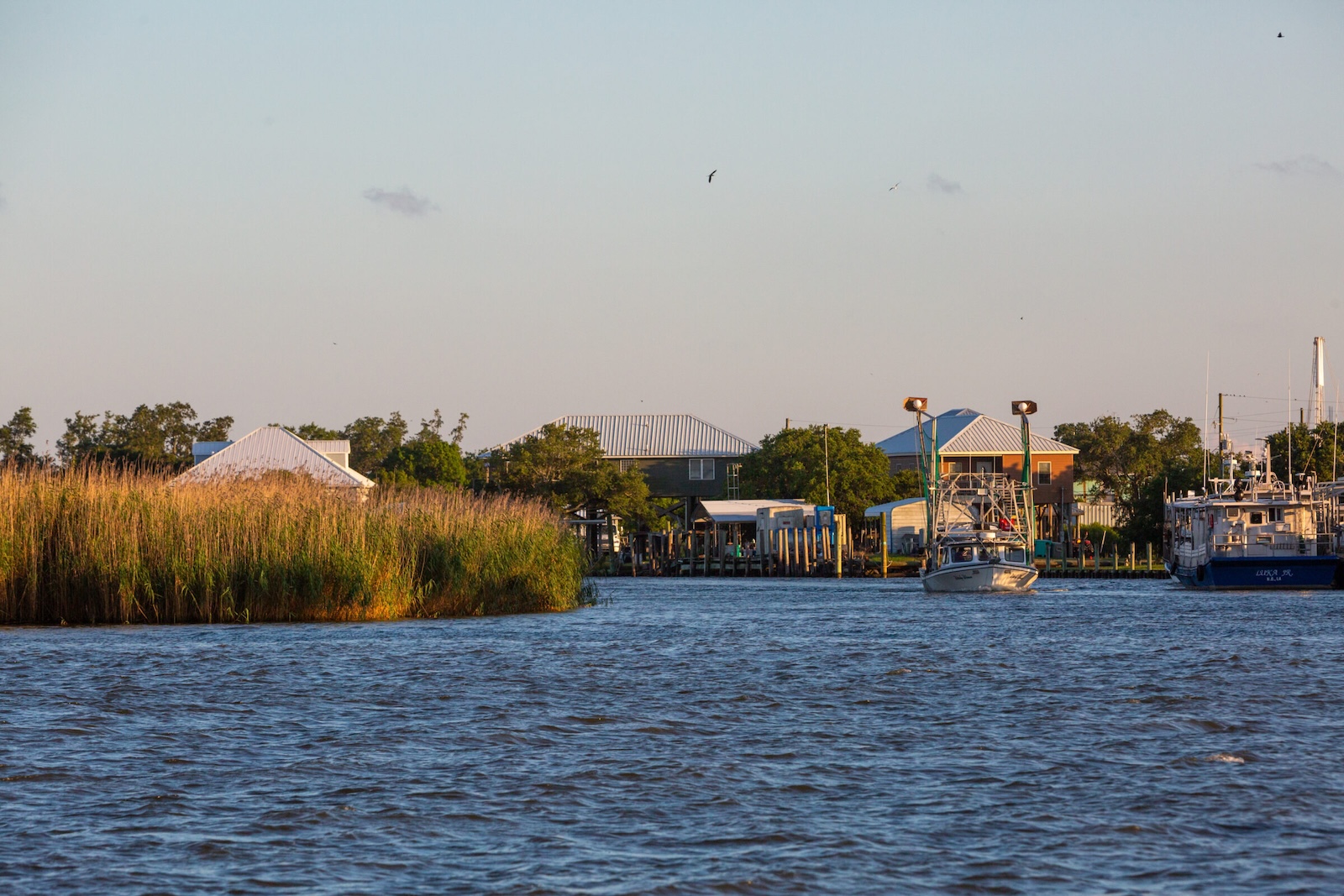 Nearly 1.5M people in Louisiana depend on this strip of marsh, but it ...