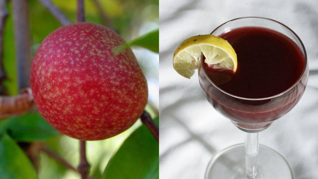 Stop drinking spice waters! This traditional Indian fruit is the real ...