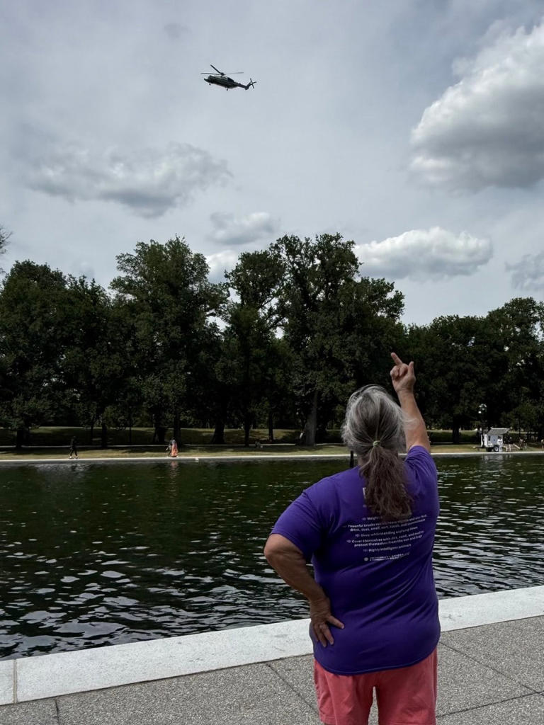 Trump's reflecting pool repair sparks algal crisis