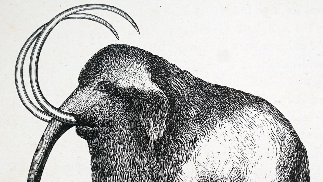 Science and challenges of de-extinction