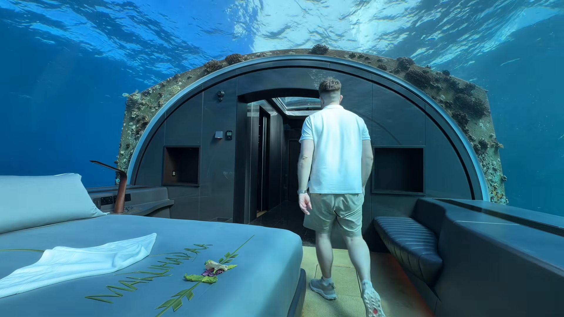 He paid $18,000 to sleep under the ocean - then sharks surrounded the ...