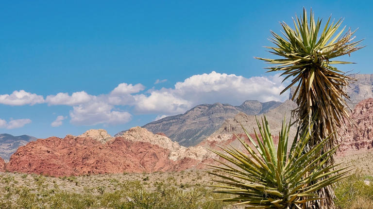 Nevada's no-fee canyon just outside of Red Rock is an overlooked hiking ...