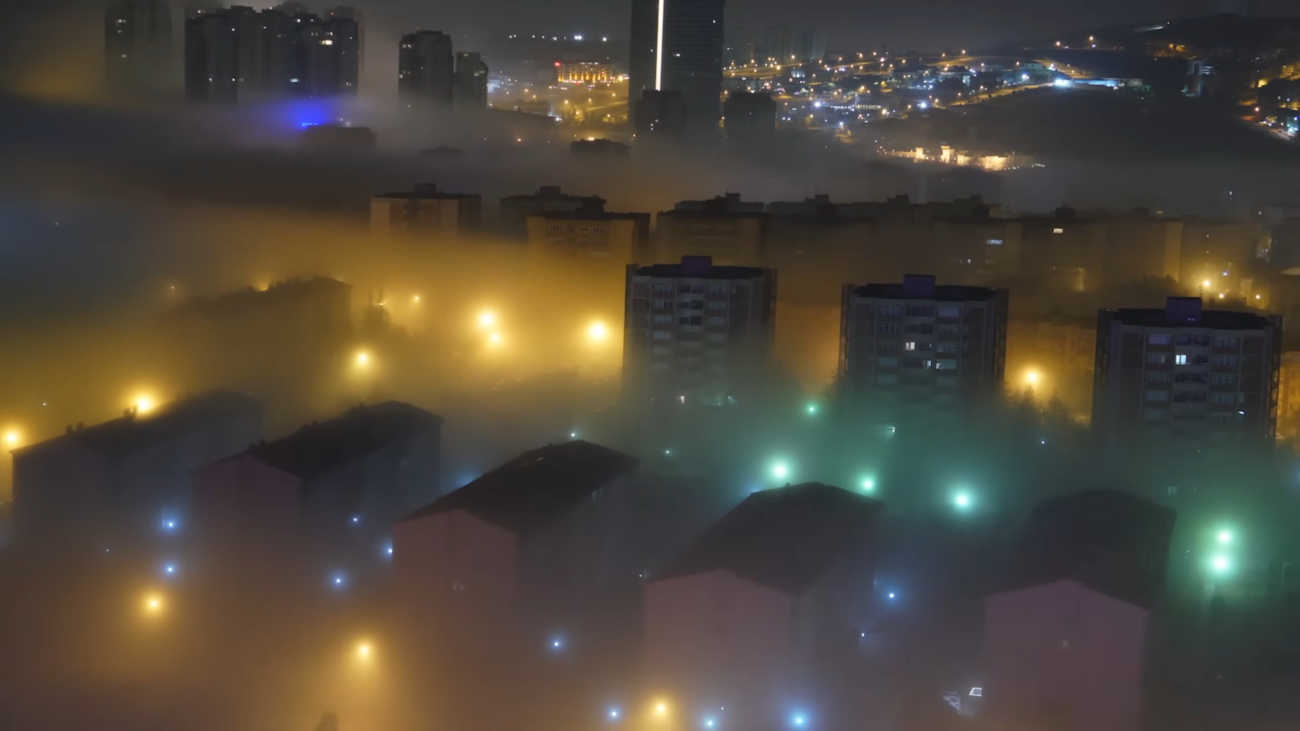 Evidence from 32 fog events suggests mist is more alive than weather