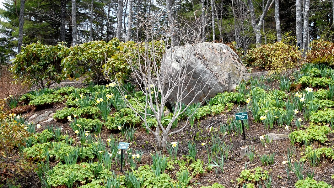 4 stunning botanical gardens on the East Coast