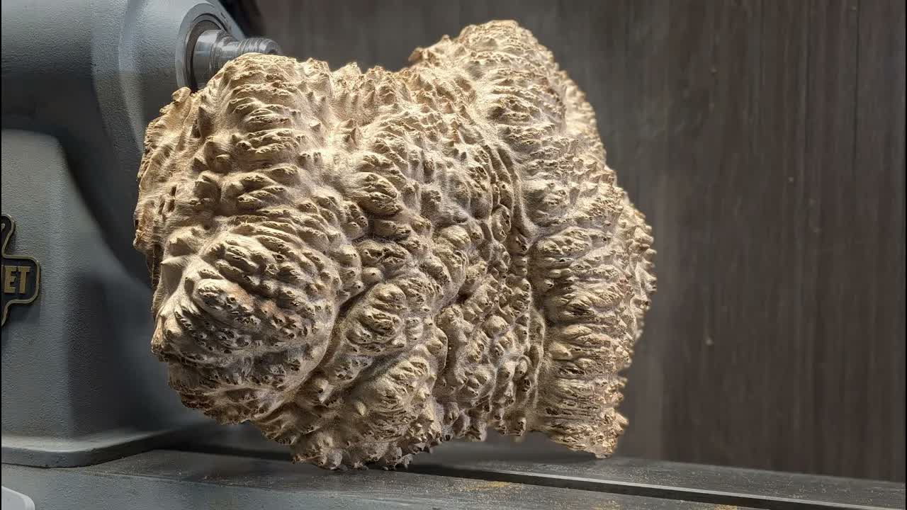 This mallee burl barely looks like wood at all