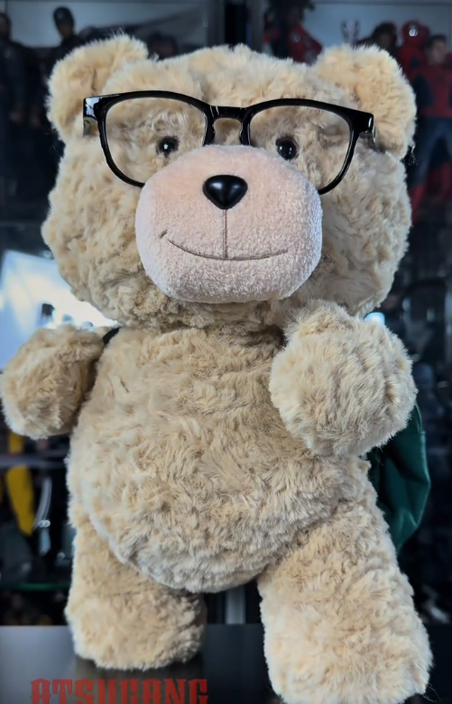 Hot nerd Ted unboxing ASMR