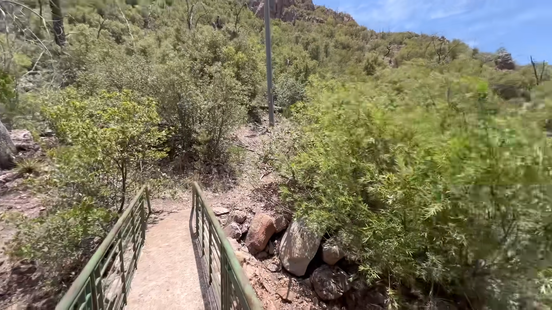 One of Arizona's most dangerous outlaws was found dead under a tree ...