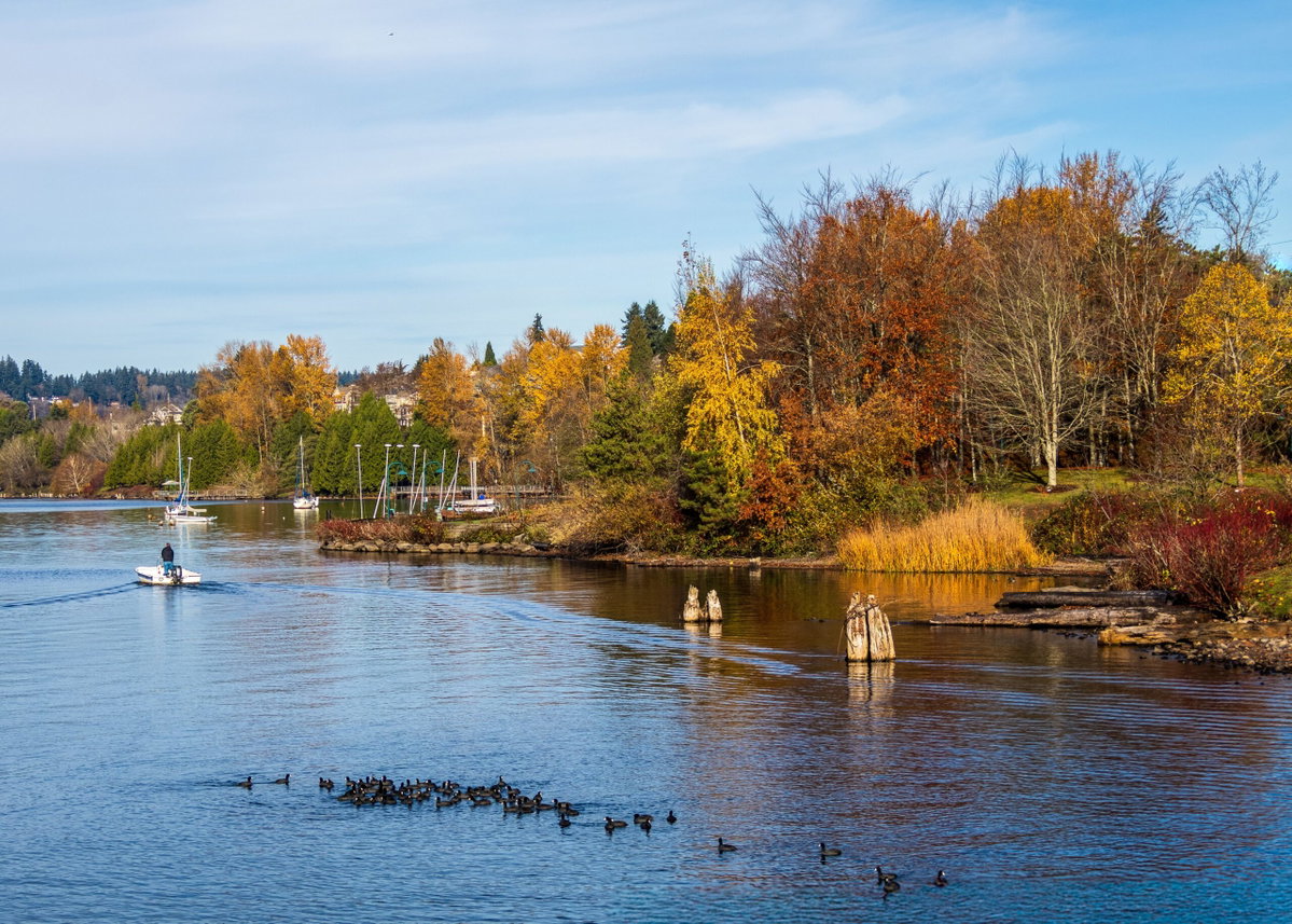 Lake Washington drowning incidents: What happened and what we know