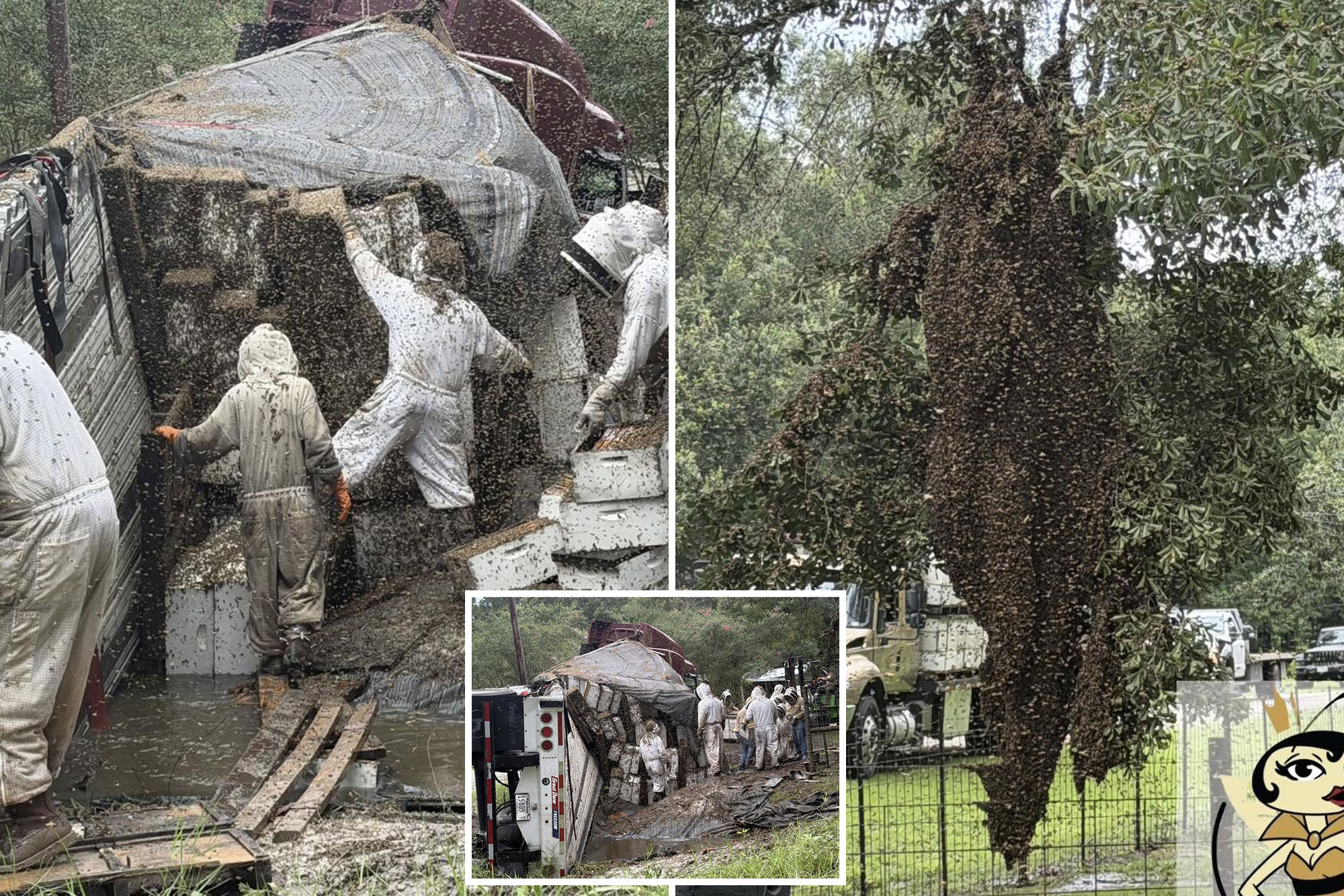 Millions of bees escape after a truck carrying hives crashes in Texas ...