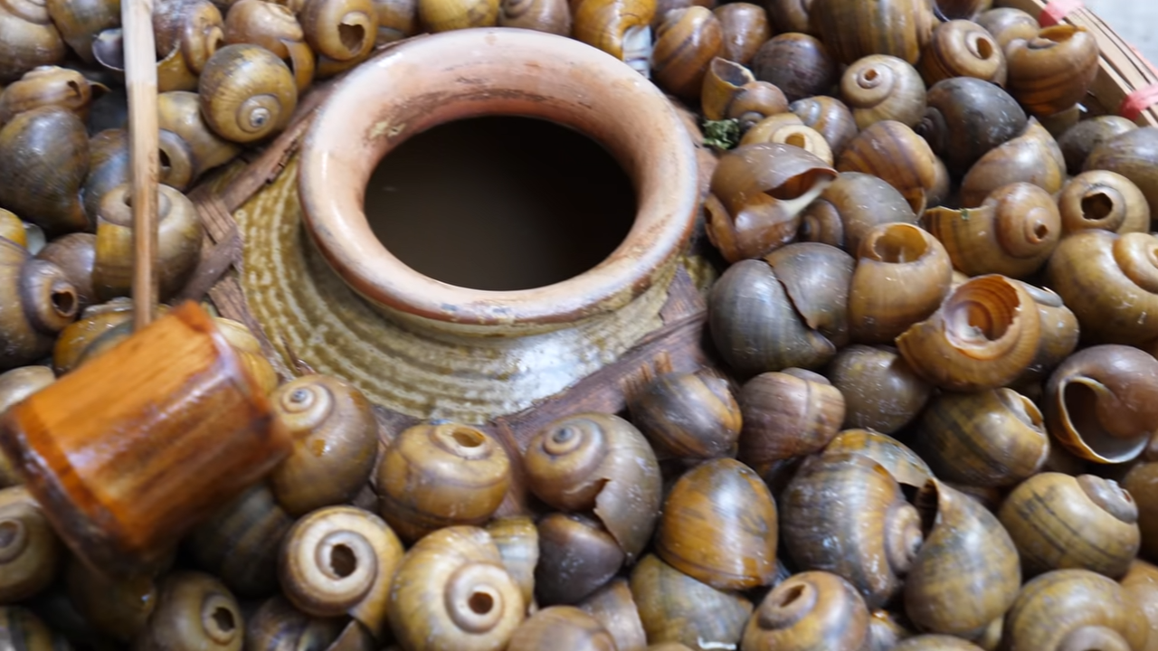 They eat snails for breakfast here - and it’s surprisingly incredible