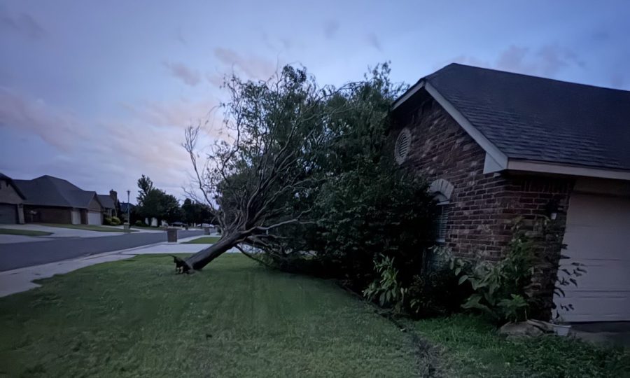Businesses, families left with totaled cars, no power and collapsed ...