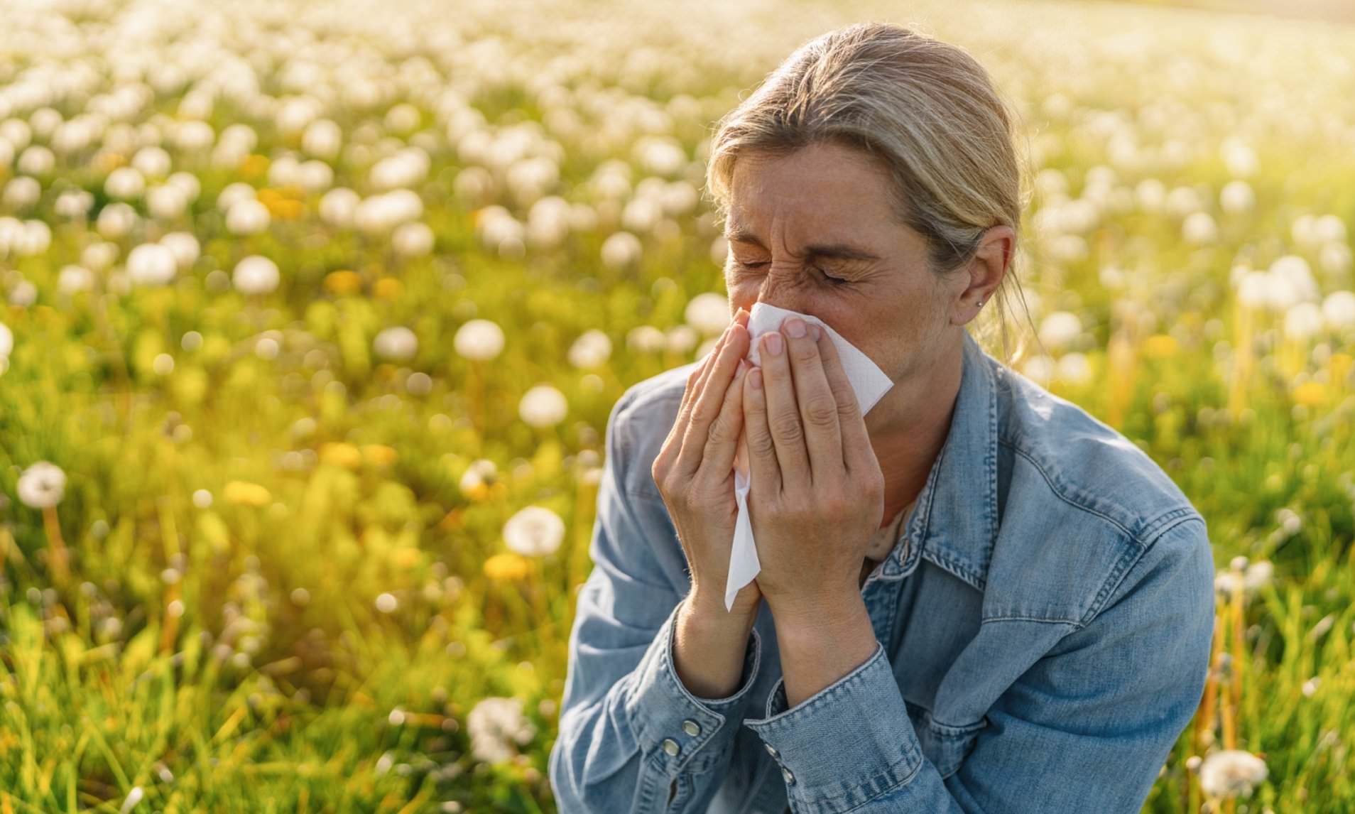 UK told to brace for pollen bomb triggered by 'stop-start' weather
