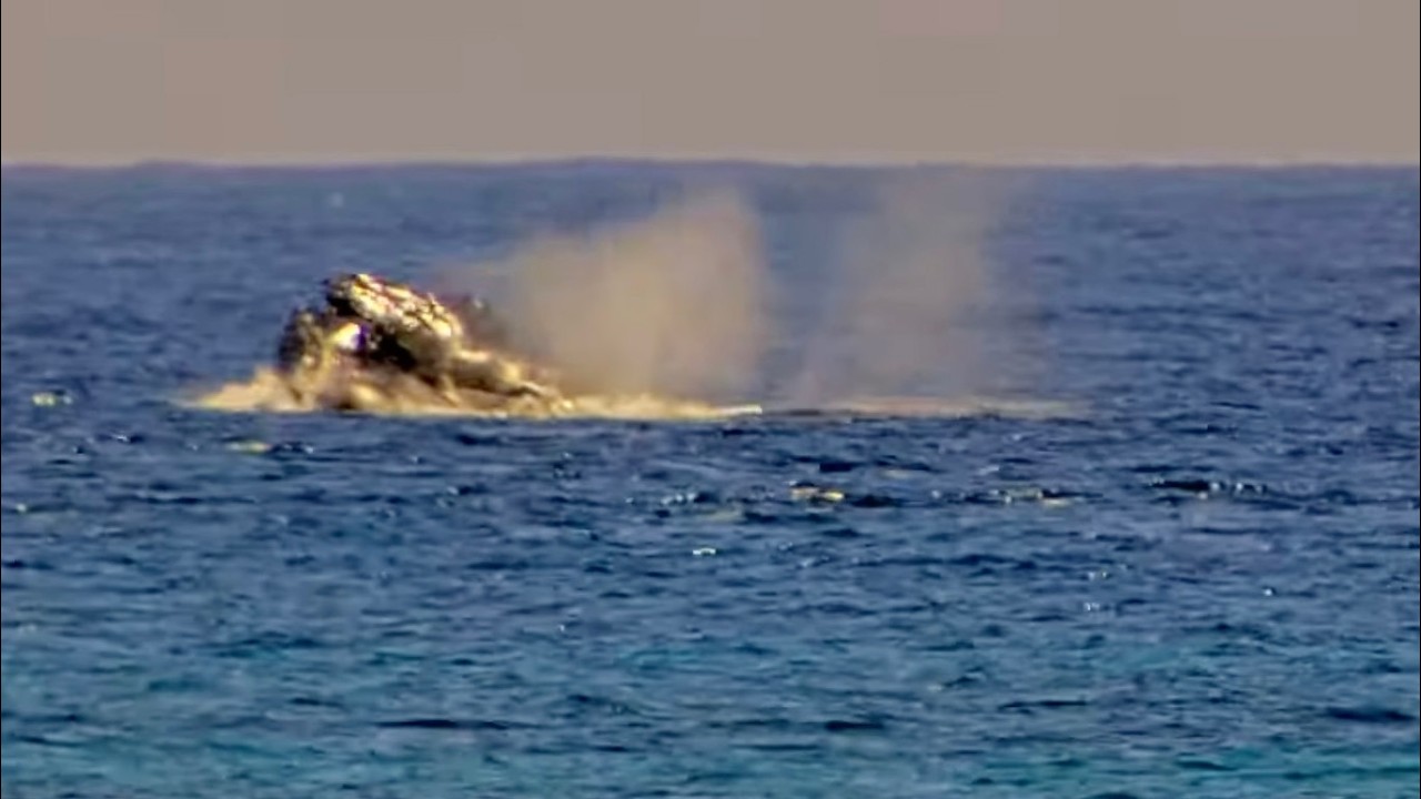 Watch 40-ton humpback whales collide in Maui waters