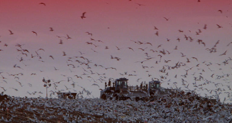 Shu Lea Cheang on her queer ecofeminist cyberpunk cult-classic film