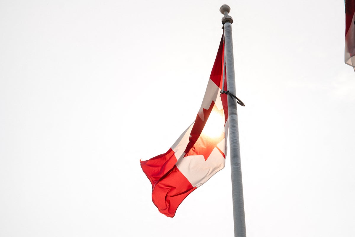 Canadian town officially recognizes trees as living beings with rights