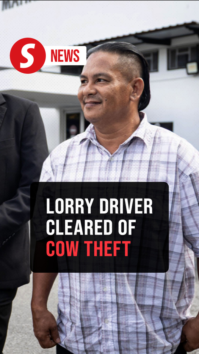 Lorry driver in FRU crash acquitted of cow theft