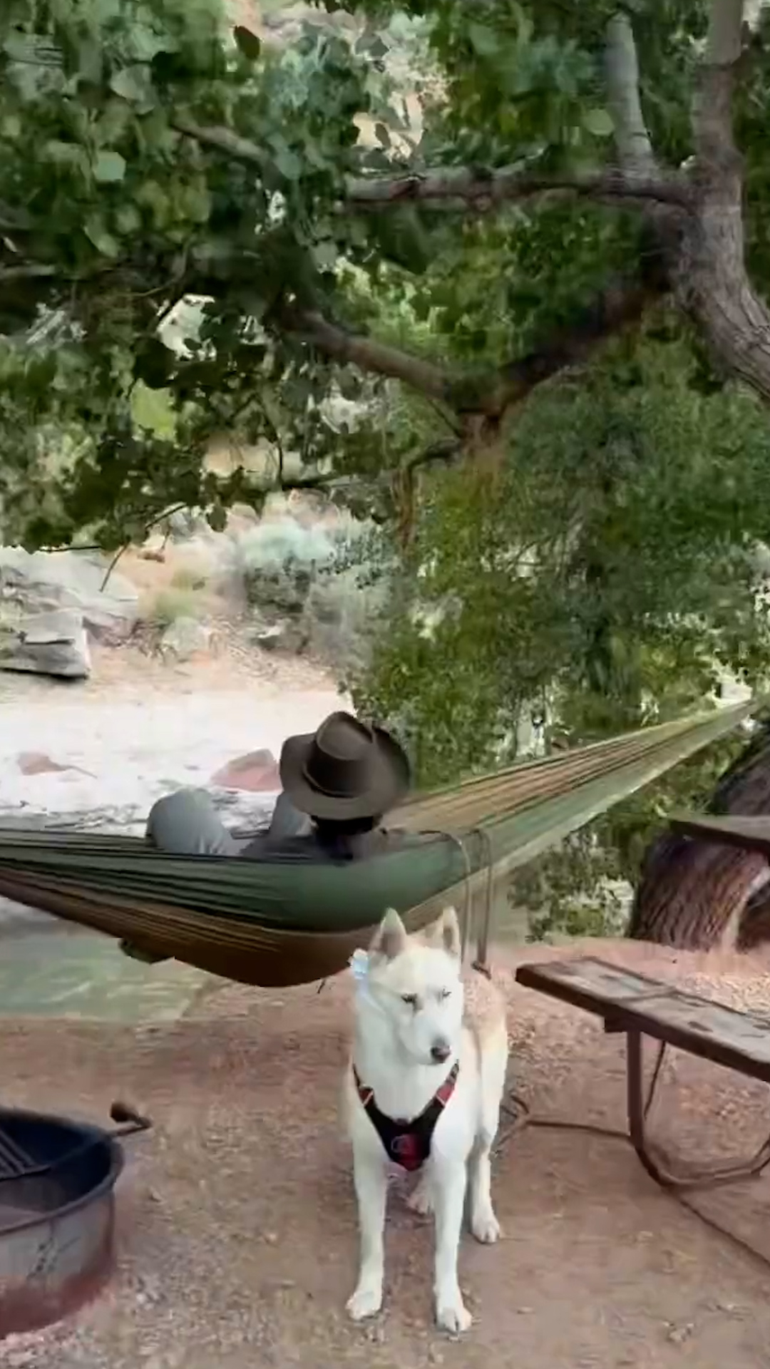 Preparing for camping trips and making memories everyone will enjoy